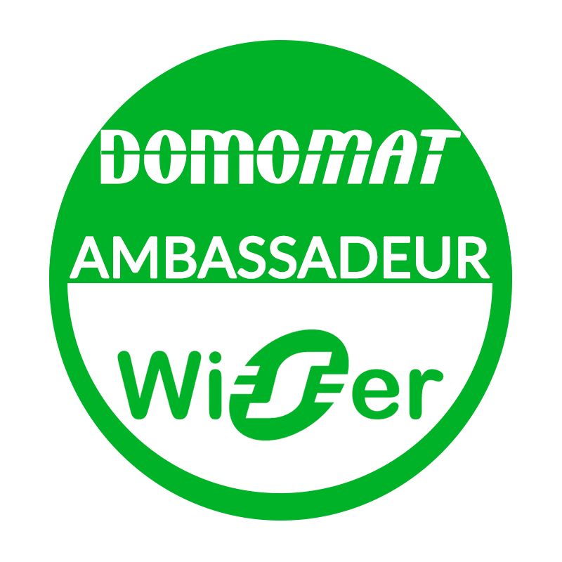 Schneider R9M60 - Capteur de mesure sans fil Wiser Energy PowerTag ...