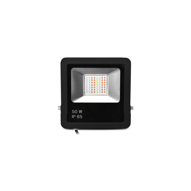 [100186 - VISION EL] Projecteur extérieur LED RGB - avec télécommande RF - 50W