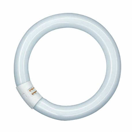 581143 - Ledvance - Tube fluorescent circulaire T9 - Dimmable
