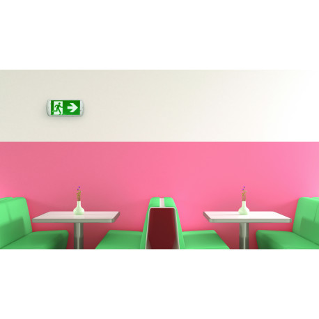 Luminaire d'évacuation Uniled 2 Eaton Luminox - 45LM - IP42