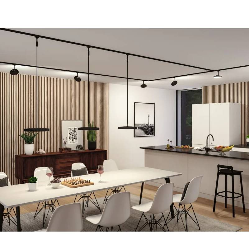 Spot LED Hildor URail - Noir mat [96786 - Paulmann]