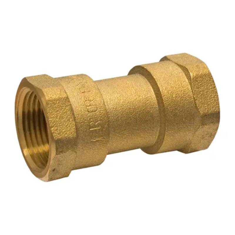 Clapet anti-retour simple - 1" FBSP [FLOW235006 - RWC]