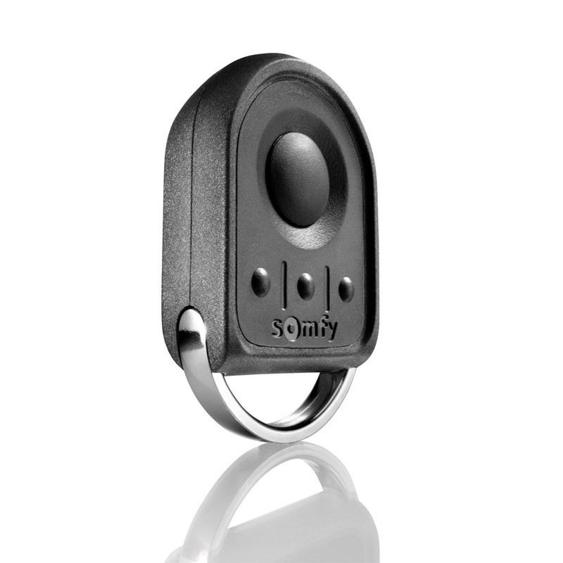 Pack motorisation Dexxo Pro 800 RTS chaîne + 2 télécommandes Keygo + rail