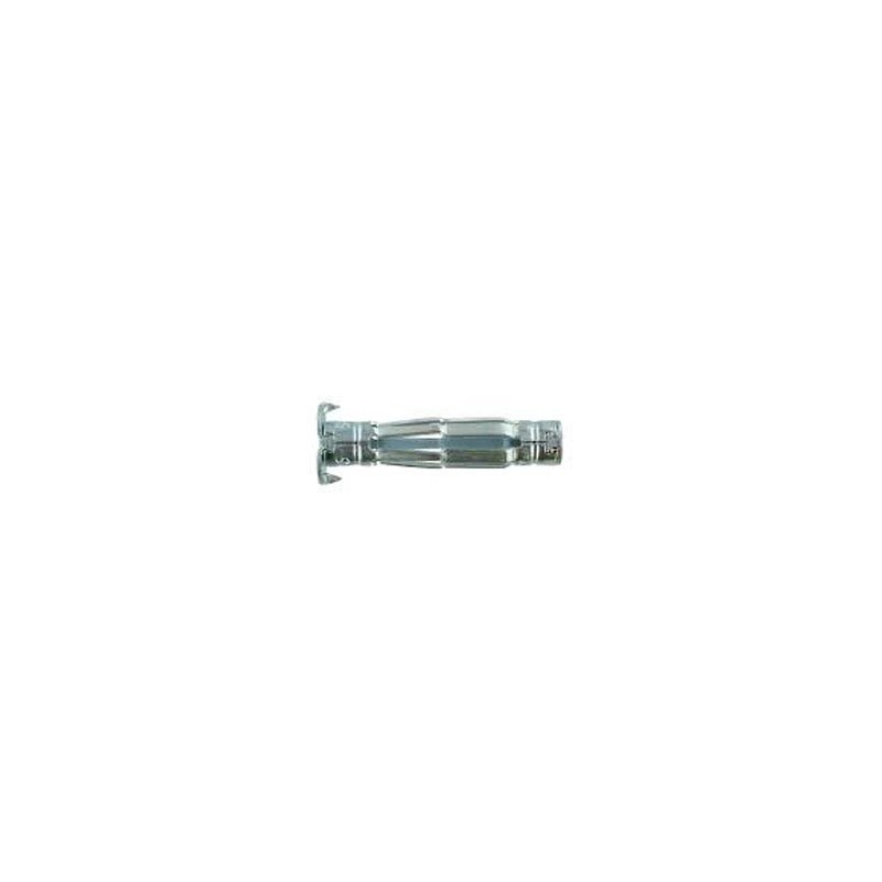 95257 - 25 chevilles 5X65 Ramfix RAM