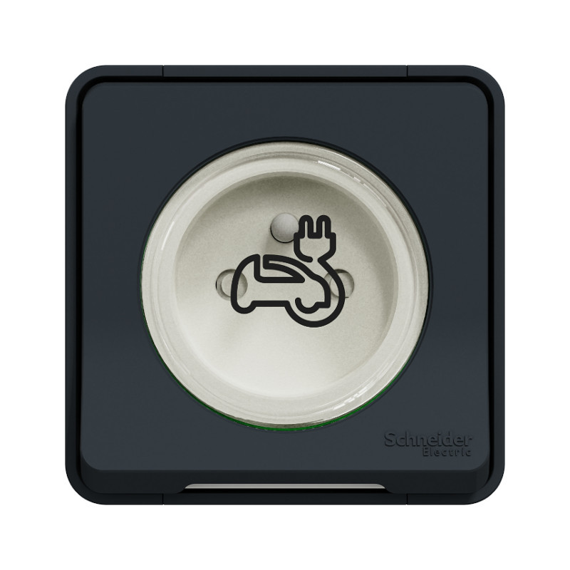 Prise 2P+T renforcée Mureva EVlink [MUR36015 - Schneider]